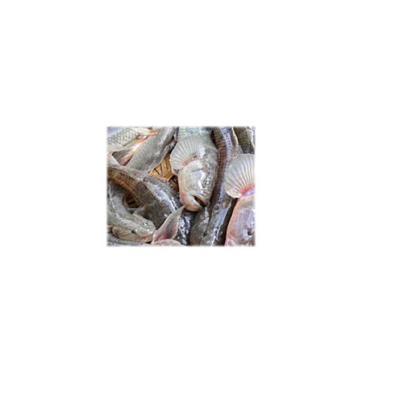 Rabeya Japan Co., Ltd. / Rabeya Halal Food